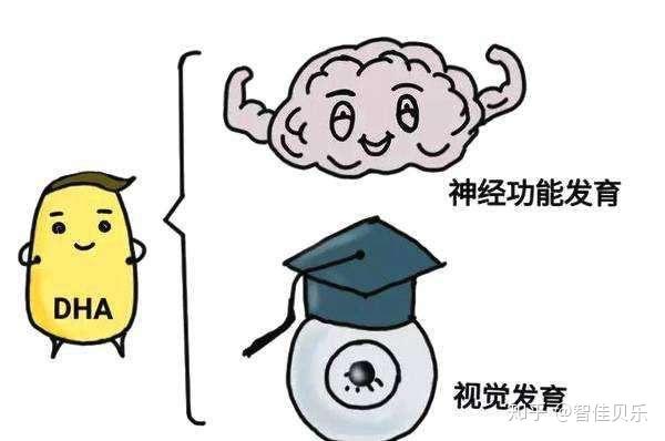 DHA和ARA，这对组合你了解多少？ - 知乎