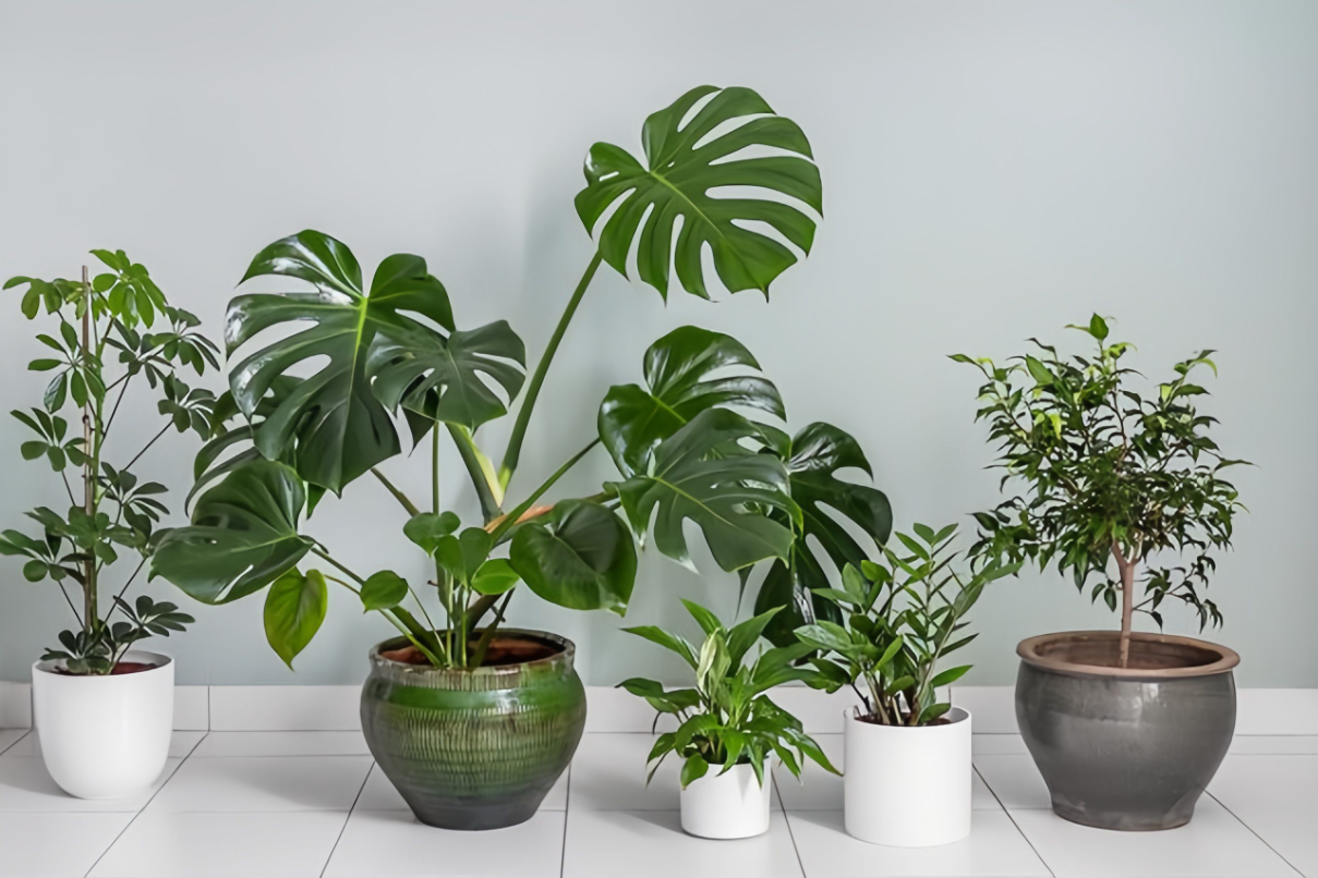 2024年空气净化器除醛王者——352空净新品Z120实测测评！