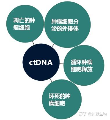 ctDNA助力肿瘤的诊疗 - 知乎