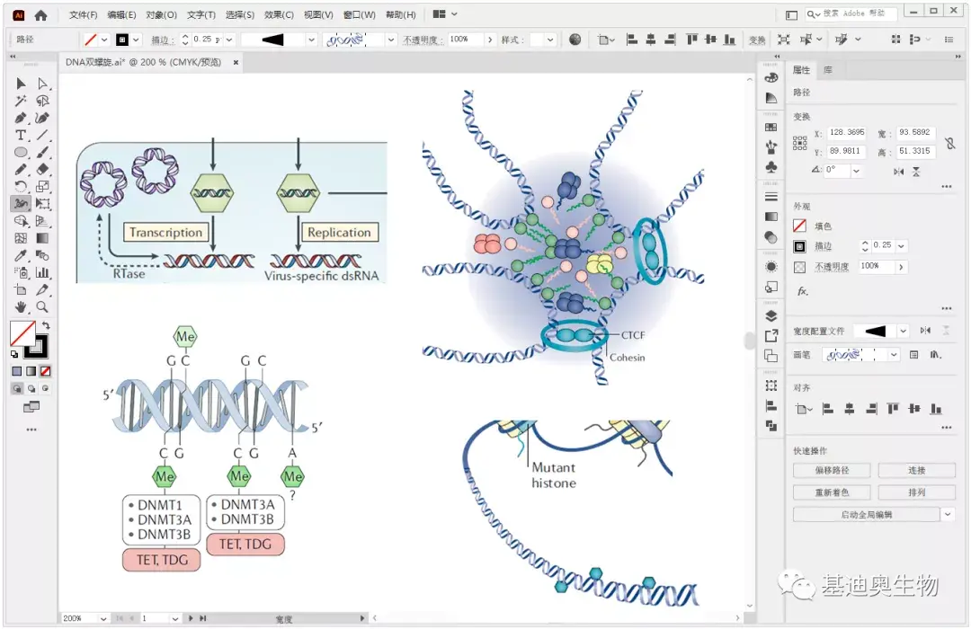 AI科研绘图|看到科研大佬们的花式示意图，我的DNA动了！ - 知乎