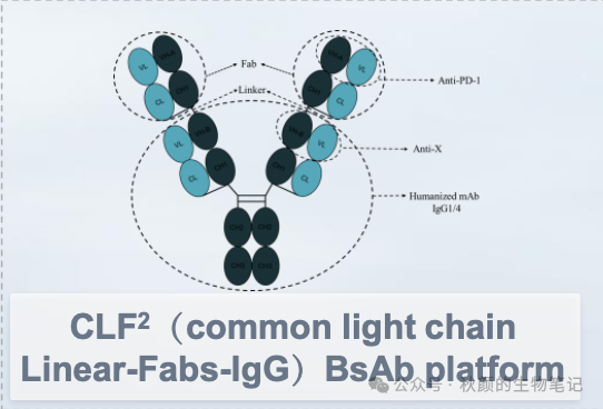 火爆全球的PD-1/VEGF 双抗为什么值60亿美金？ - 知乎