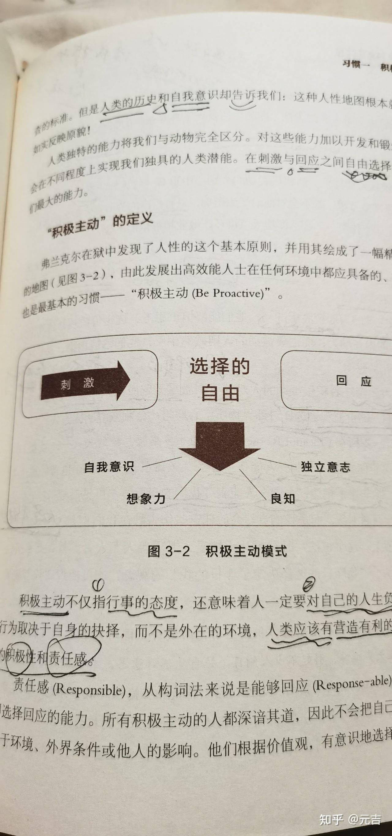 看见即自由 知乎