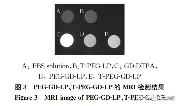 肿瘤新生血管靶向的顺磁性长循环纳米脂质体的构建 - 知乎