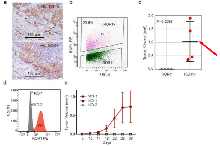 看CRISPR/Cas9基因编辑技术如何玩转药物靶点（二）——激酶特辑 - 知乎