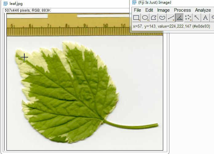 ImageJ实用技巧——角度测量(基础功能篇) - 知乎