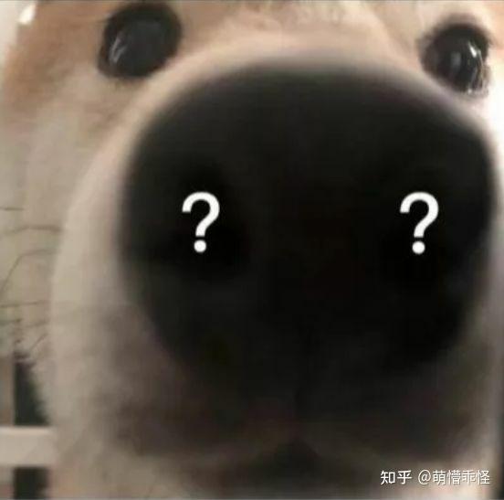 分享一些狗狗表情包(›´ω`‹ ) - 知乎