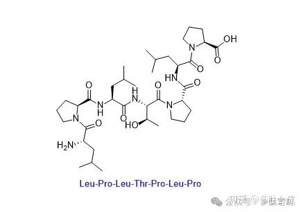 Hsp90靶向肽：Leu-Pro-Leu-Thr-Pro-Leu-Pro - 知乎