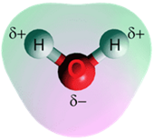 水分子和液态水 - 知乎