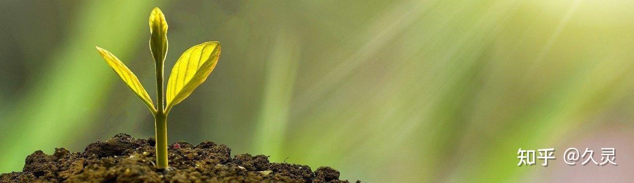 CordCloud怎么样？分享一个Cordcloud最新的靠谱使用教程 方法【2024年更新还能用】 - 知乎