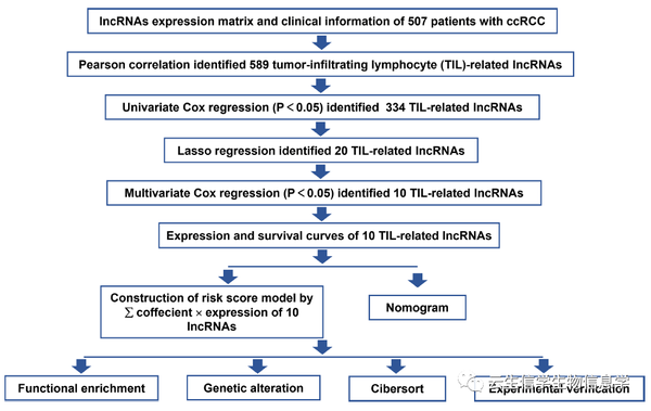 湿实验怎么加才能助力肿瘤微环境课题设计？8分+肿瘤浸润淋巴细胞lncRNA的干湿结合思路~生信分析内容简单却又有内涵! - 知乎