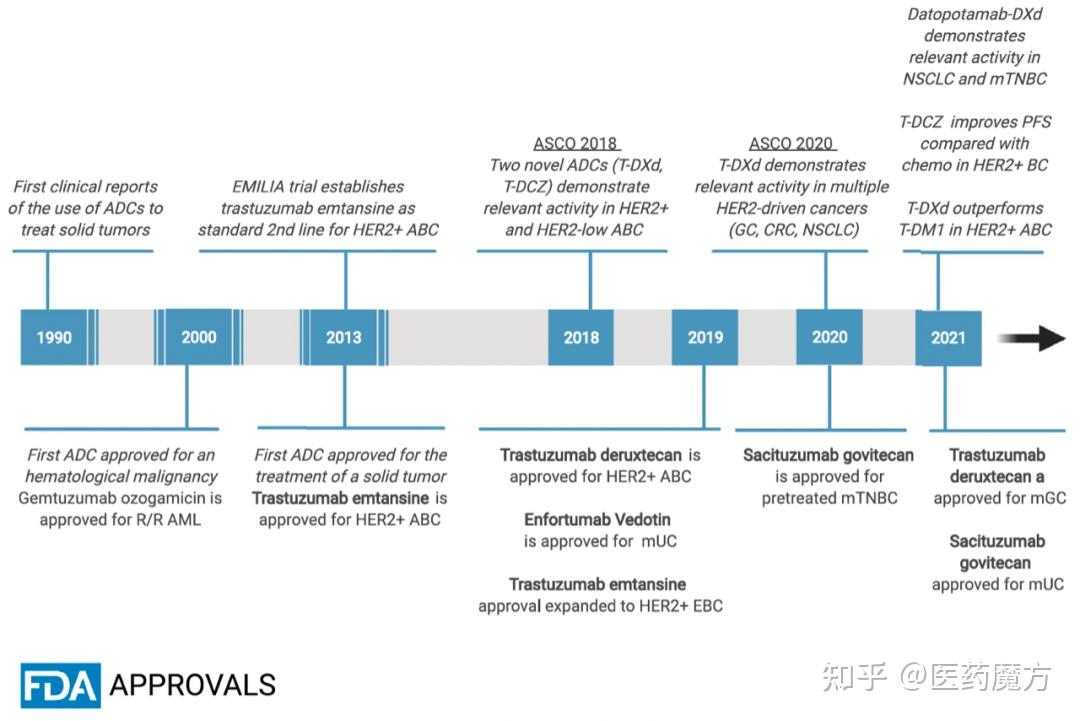 “神刊”CA重磅综述：ADC的现状、挑战、机遇和未来 - 知乎