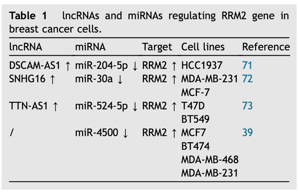 Genes Dis 综述︱淮北师范大学李奇璋/海军军医大学张磊/湖南科技学院沈玉平等评述RRM2在肿瘤发生发展中的作用及研究进展 - 知乎