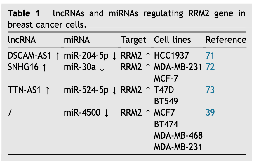Genes Dis 综述︱淮北师范大学李奇璋/海军军医大学张磊/湖南科技学院沈玉平等评述RRM2在肿瘤发生发展中的作用及研究进展 - 知乎