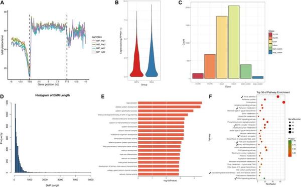 WGBS跟RRBS如何选择？表观DNA甲基化和转录调控结果关联思路 - 知乎