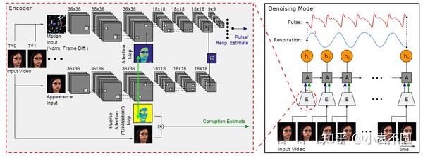 【rPPG论文阅读】Denoising Camera-Based Physiological Measurements using ...
