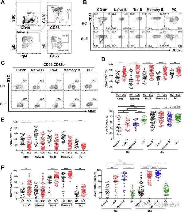 8分+文章带来系统性红斑狼疮患者治疗新靶点：CD44 - 知乎