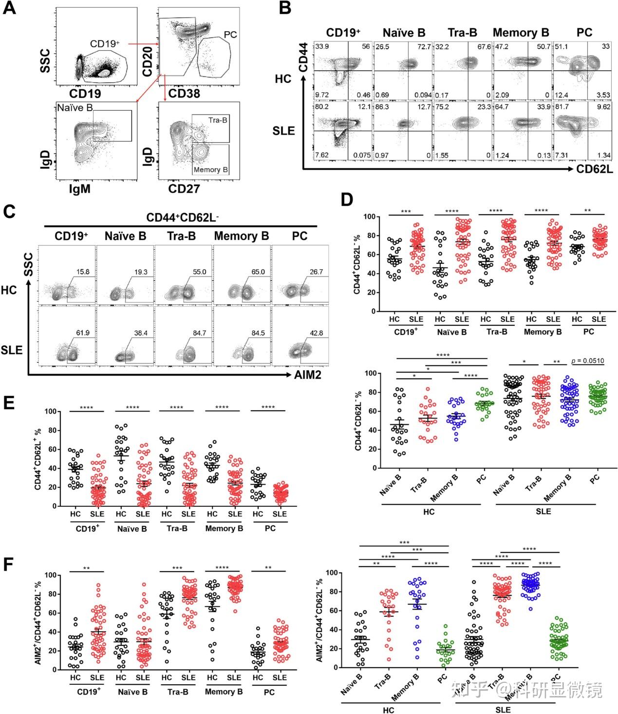 8分+文章带来系统性红斑狼疮患者治疗新靶点：CD44 - 知乎
