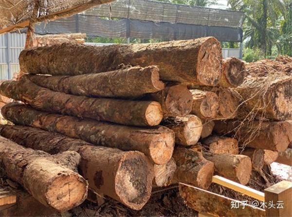 这家木材巨头公司又有新动作 - 知乎