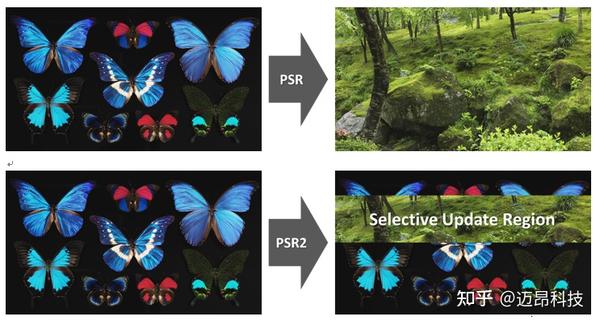 Chroma完整支持eDP界面PSR、PSR2两代面板自动刷新技术检测 - 知乎