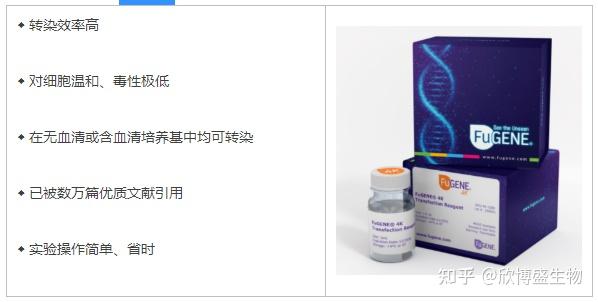 热烈祝贺欣博盛生物成为FuGENE中国独家代理 - 知乎