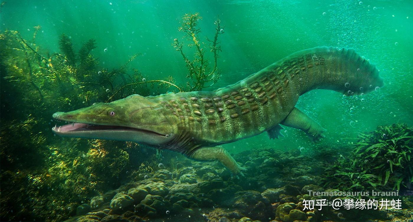 第二百六十四回 鲵王 - 知乎