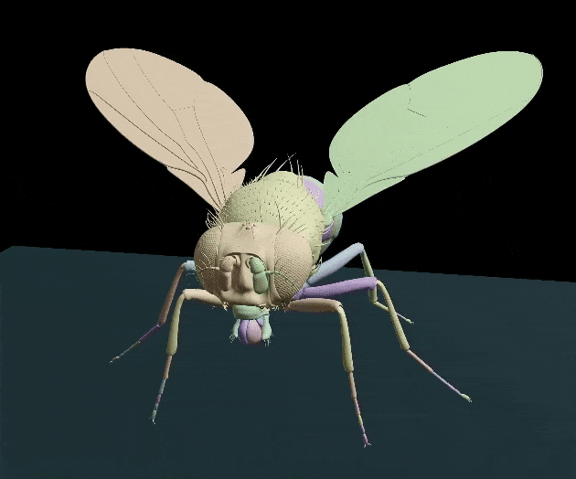 DeepMind果蝇登Nature，强化学习再立功！AI模拟飞行，逼真到腿毛颤抖 - 知乎