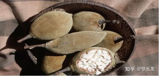 科普百篇系列（174） 非洲多年生的猴面包树和香肠树 - 知乎