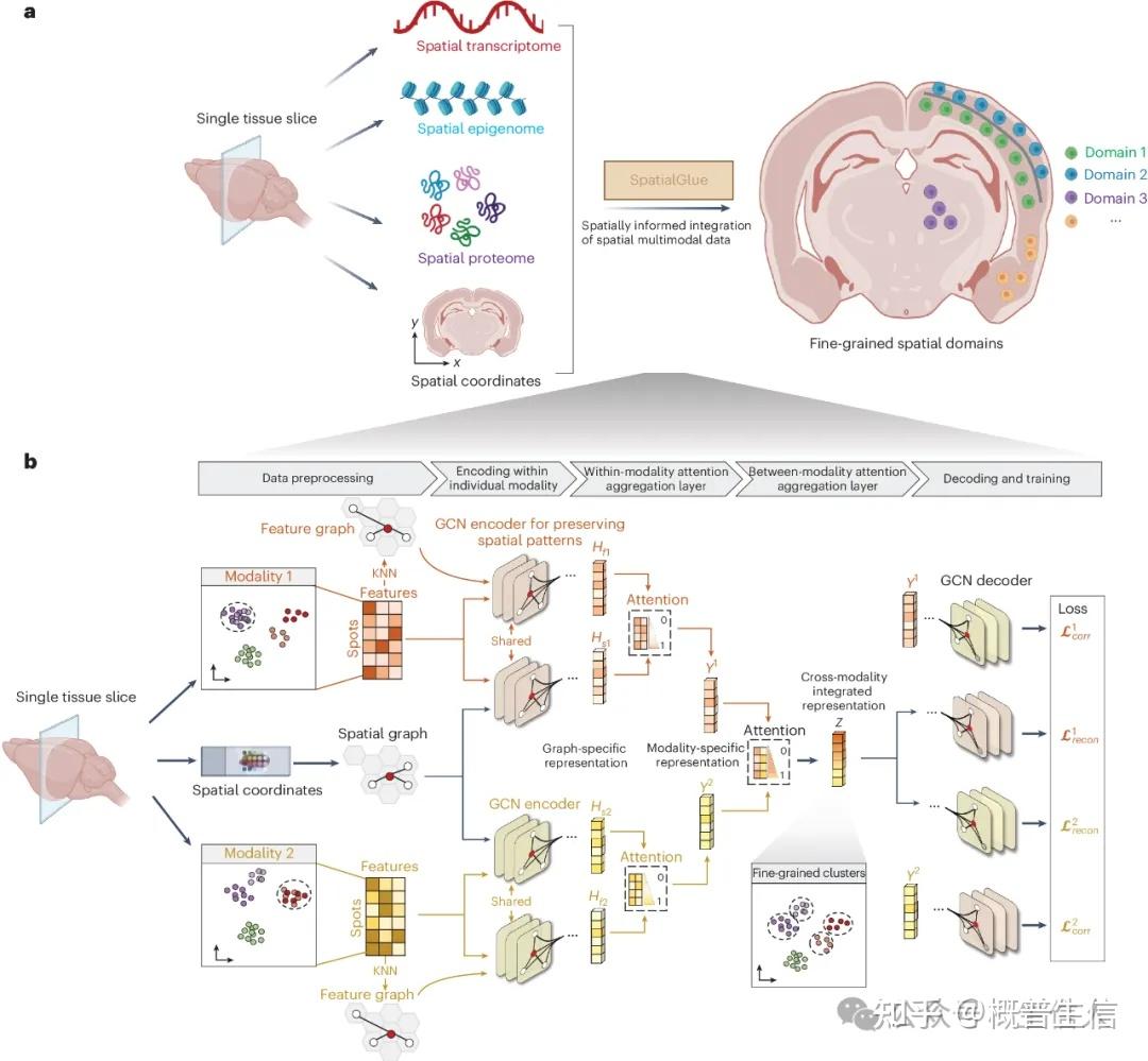 从DBiT-seq到表观组学：樊荣团队多篇顶刊，空间多组学技术如何步步封神？ - 知乎