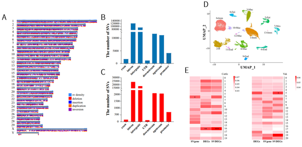 单细胞转录组和常规组学联合应用思路大全 - 知乎