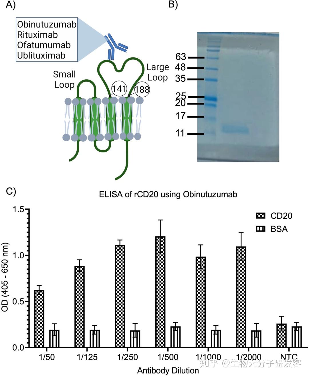 关注 I 从天然全人源scFv抗体库中分离鉴定CD20 - 知乎