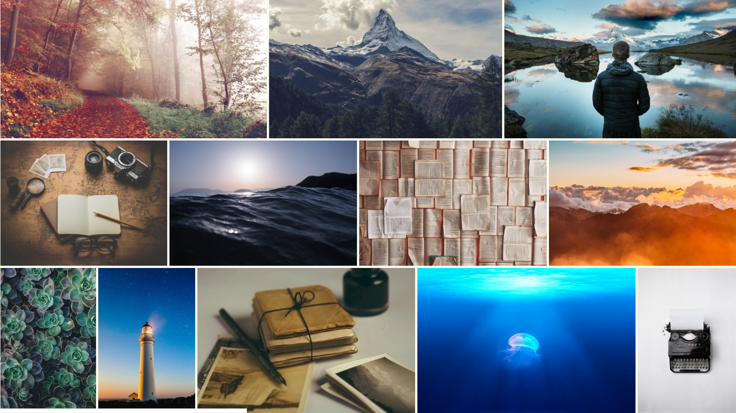 酷站推荐 - visualhunt.com - Visual Hunt | Hunt Free High Quality Stock ...