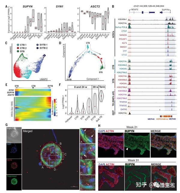 Science| 内源性逆转录病毒相关热点分享 - 知乎