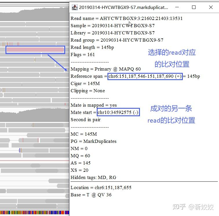 IGV快速上手指南（三）——查看突变信息 - 知乎