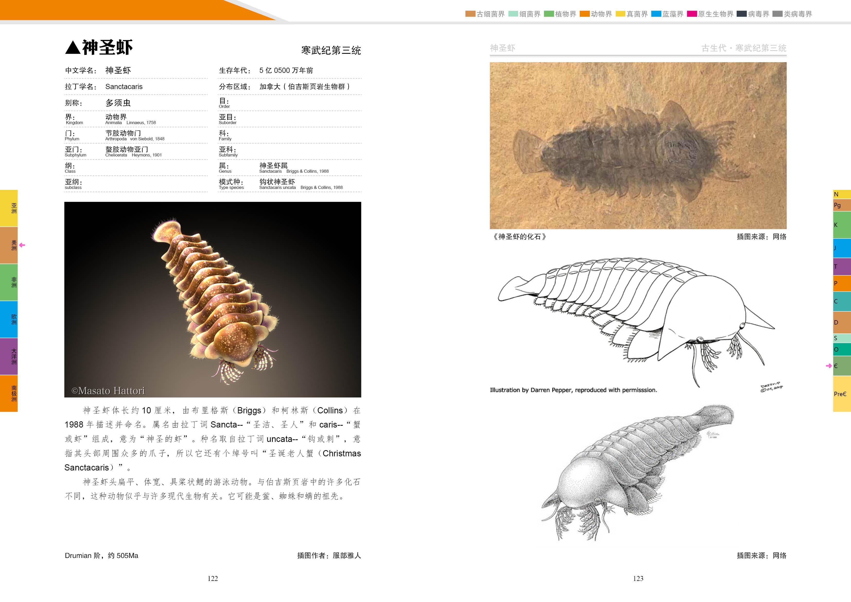 《生物简史图鉴》寒武纪之加拿大4（伯吉斯页岩动物群） - 知乎