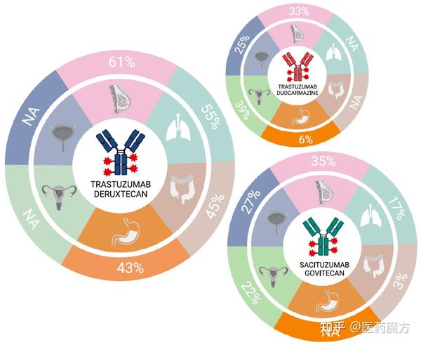 “神刊”CA重磅综述：ADC的现状、挑战、机遇和未来 - 知乎