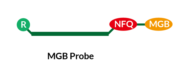 详解修饰引物/探针—MGB探针 - 知乎