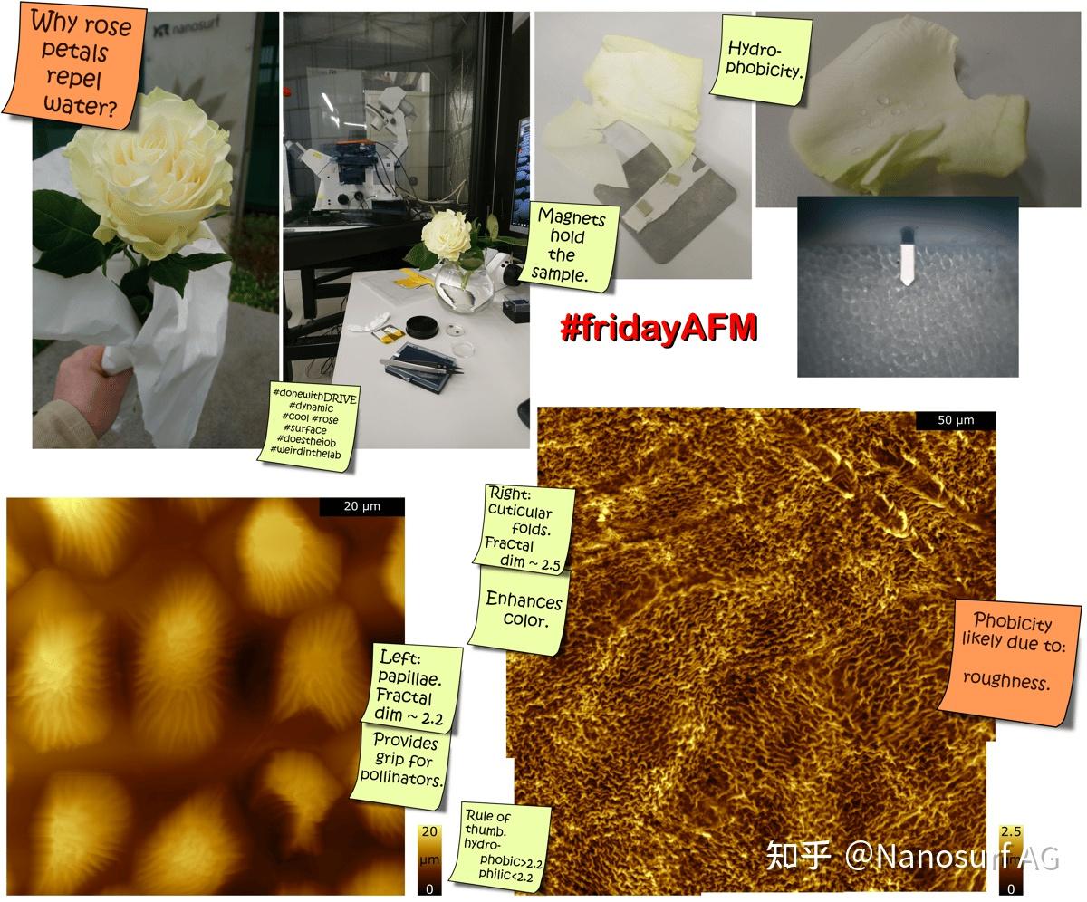 FridayAFM - 深度学习--数据处理AFM图像实现超分辨 - 知乎