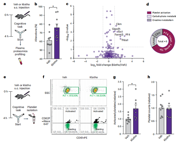 追问顶刊｜Nature 3篇重磅研究齐发，证实PF4可以使大脑“返老还童” - 知乎