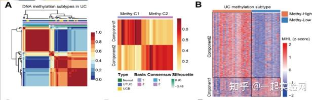 DNA甲基化亚型指导预后评估并与尿路上皮癌中DNA甲基转移酶抑制剂SGI-110的反应相关联 - 知乎