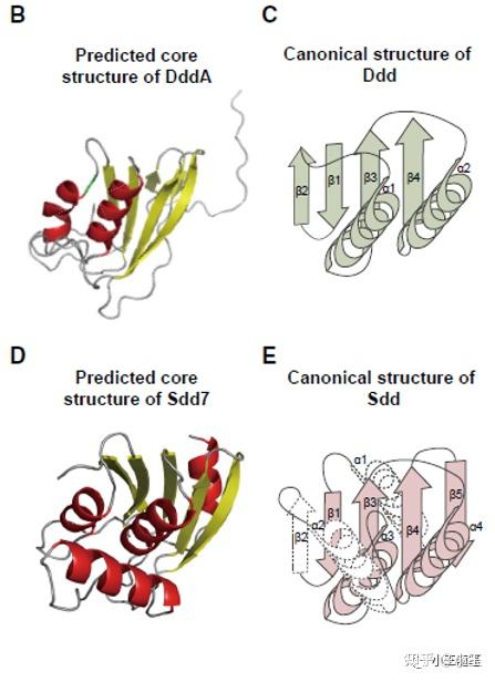 短评高彩霞Cell：AlphaFold2挖掘酶，简单而成功的计算辅助 - 知乎