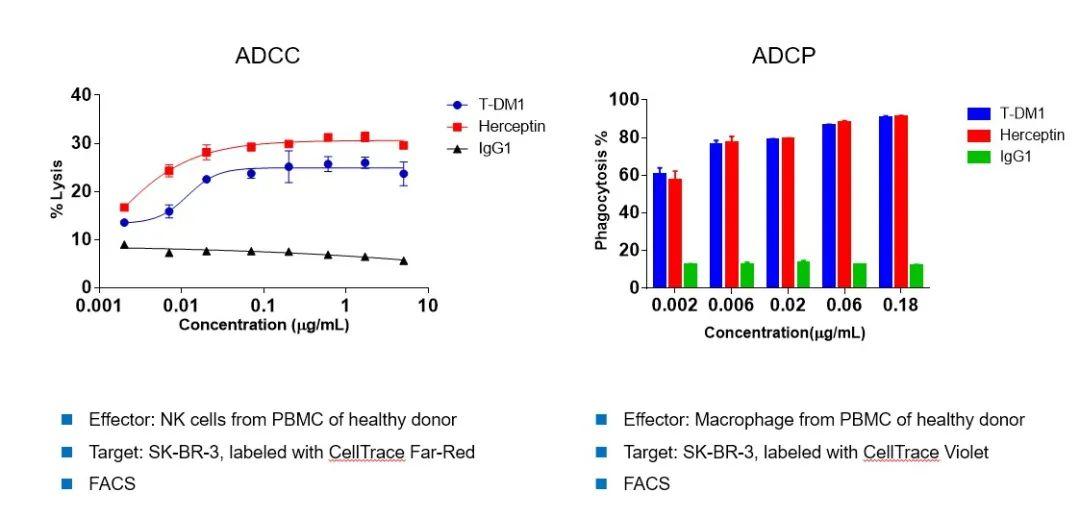 ADC药物的临床前药效和转化研究 - 知乎