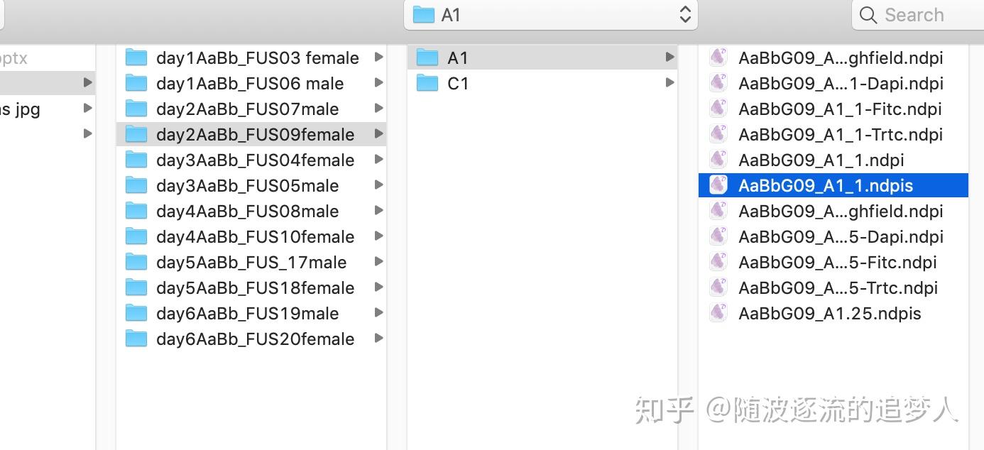 如何从NDP.View 导出图像 - 知乎