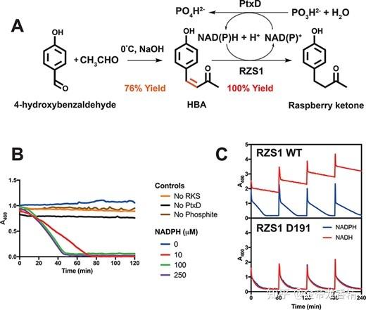香精与香料(71)—覆盆子酮(Raspberry ketone) - 知乎