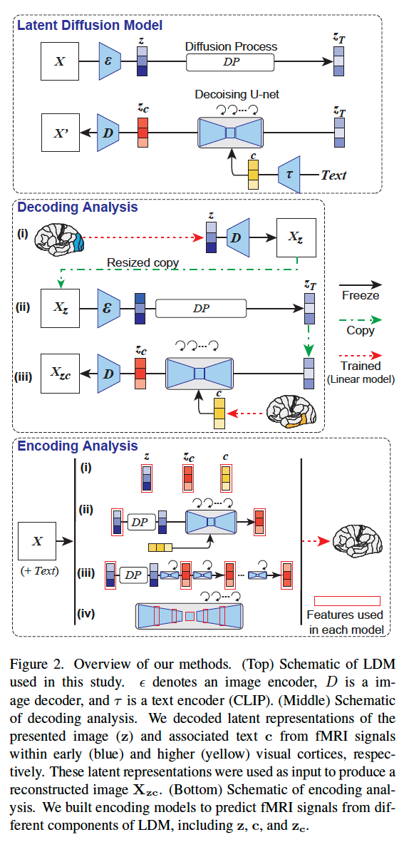 Stable Diffusion读你大脑信号就能重现图像，研究还被CVPR接收了 - 知乎
