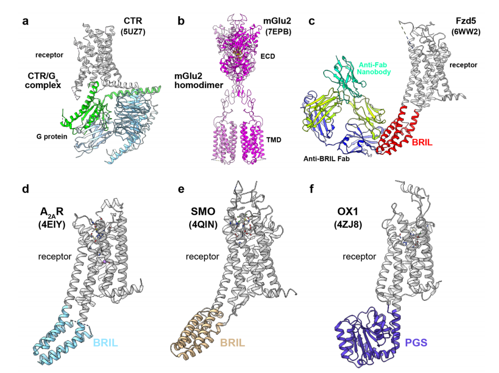 水木视界iss. 25 | 基于冷冻电镜的GPCR研究：融合蛋白策略 - 知乎