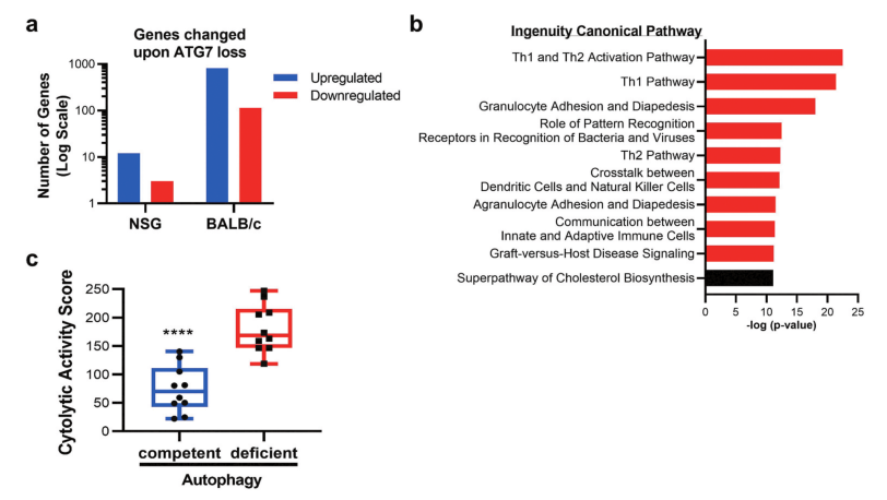 基因编辑CT26.WT细胞系——结肠癌研究与治疗的神奇途径 |源井生物 - 知乎
