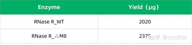 “下一代RNA疫苗”大门的关键之钥——RNase R - 知乎