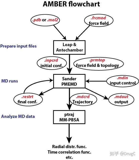 基于Amber动力学模拟的构建与分析 - 知乎