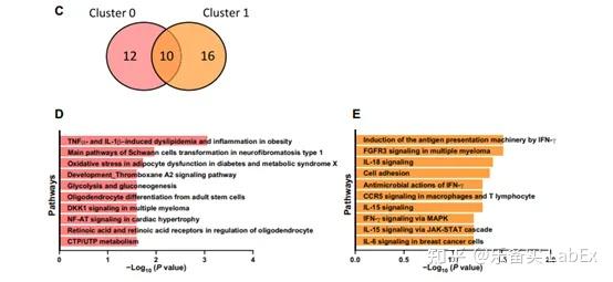 老龄化带来的挑战-神经退行性疾病应对策略 - 知乎