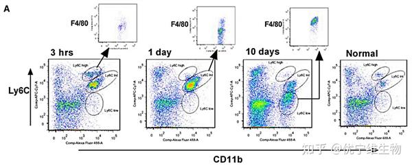 【罗工流式宝典第15式】mouse常见研究样本类型中巨噬细胞标志物的选择 - 知乎